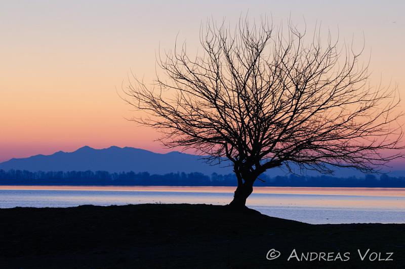 Europa - Andreas Volz